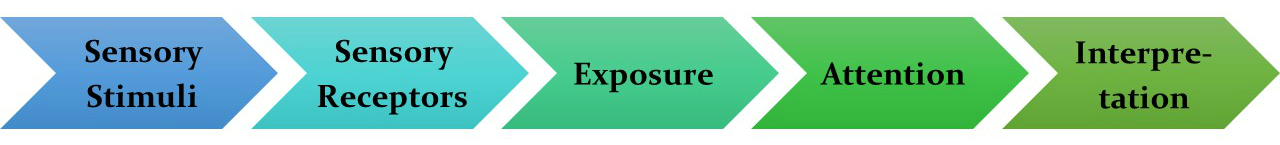 Why are Sensory Insights so Important? – Enriched Insights